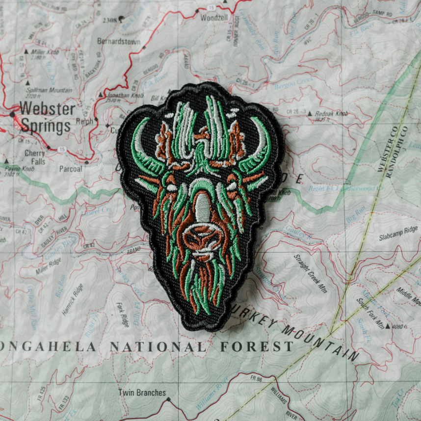 Buffalo - Patch – Loving West Virginia