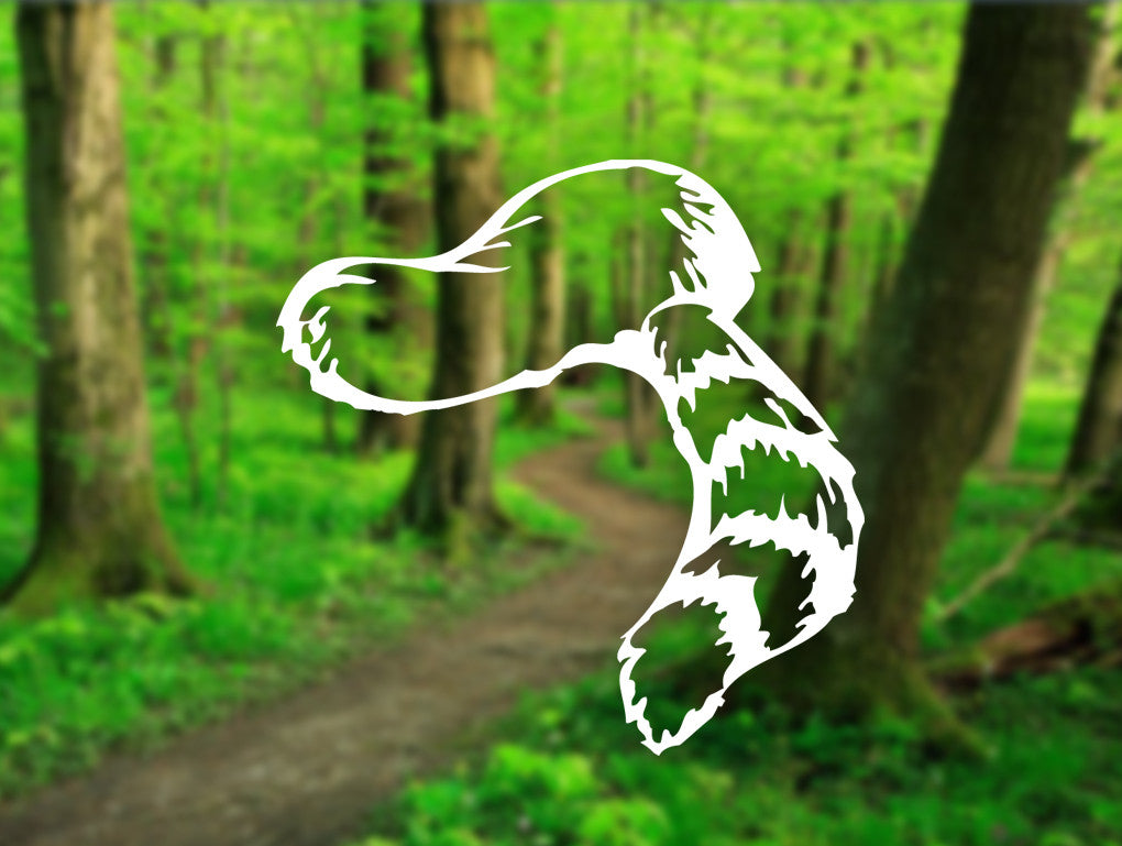 Coon Skin Cap Decal – Loving West Virginia